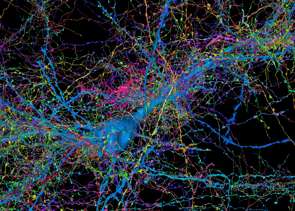 Google Science AI – Google AI